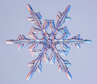 Heraldry of Life: ART with REAL SNOWFLAKES