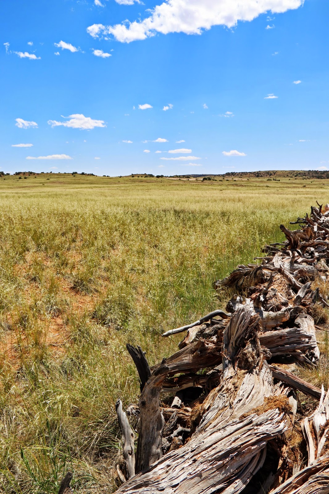 A is for Adventure: Mesa Arch and Neck Spring Trail at Canyonlands ...
