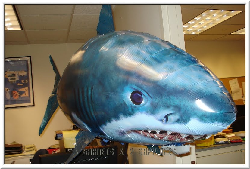 3 Garnets & 2 Sapphires: Geek Review: Air Swimmers Flying Shark R/C Toy