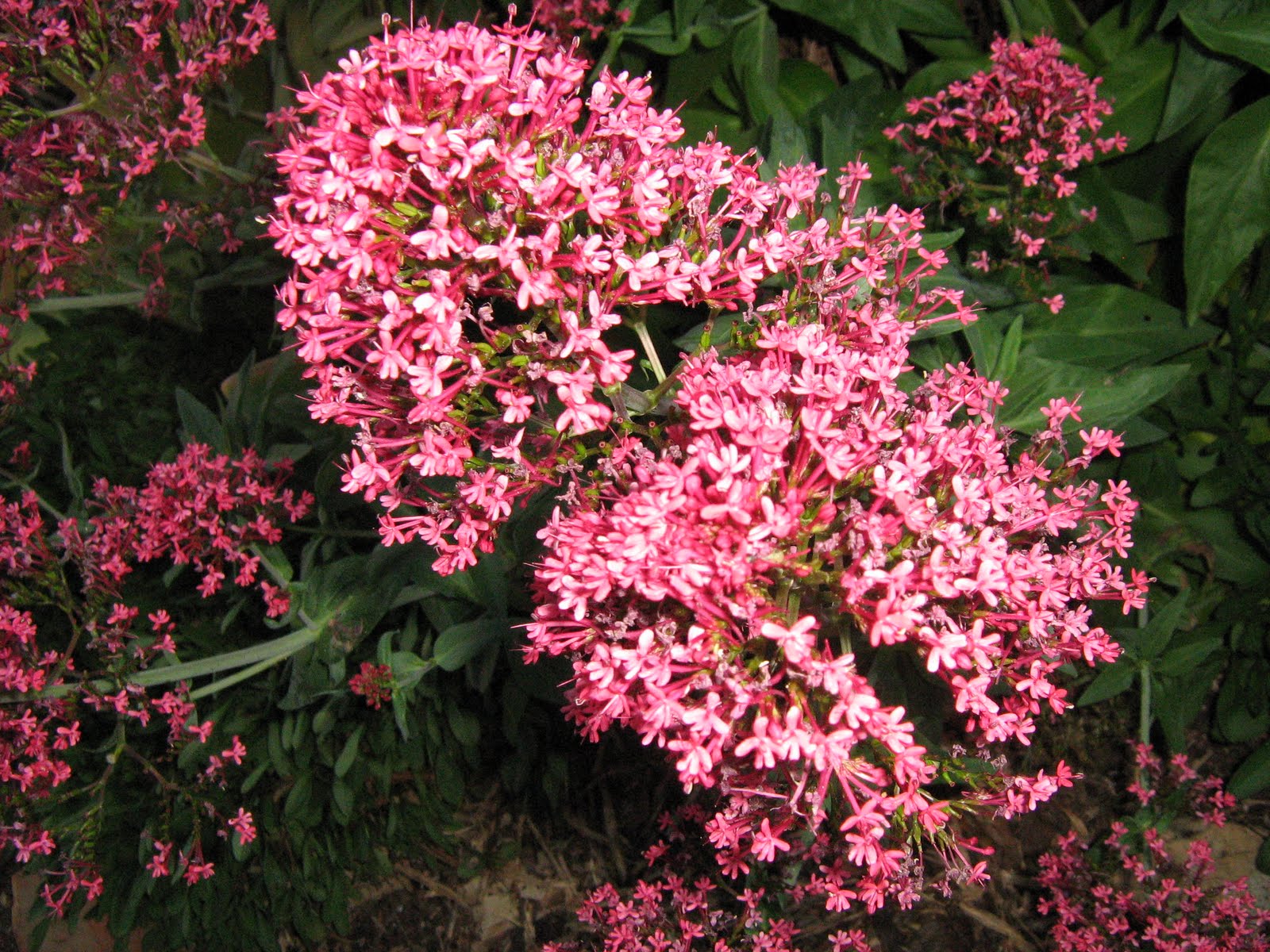 Sunday Selections #26