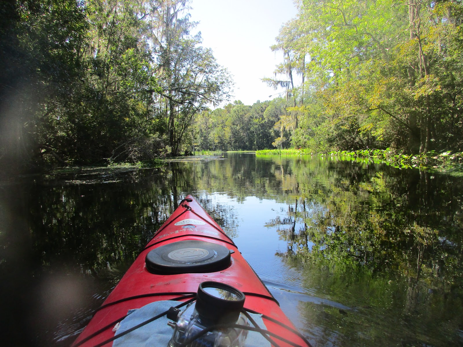 Dave's Yak Tales: Wacissa River