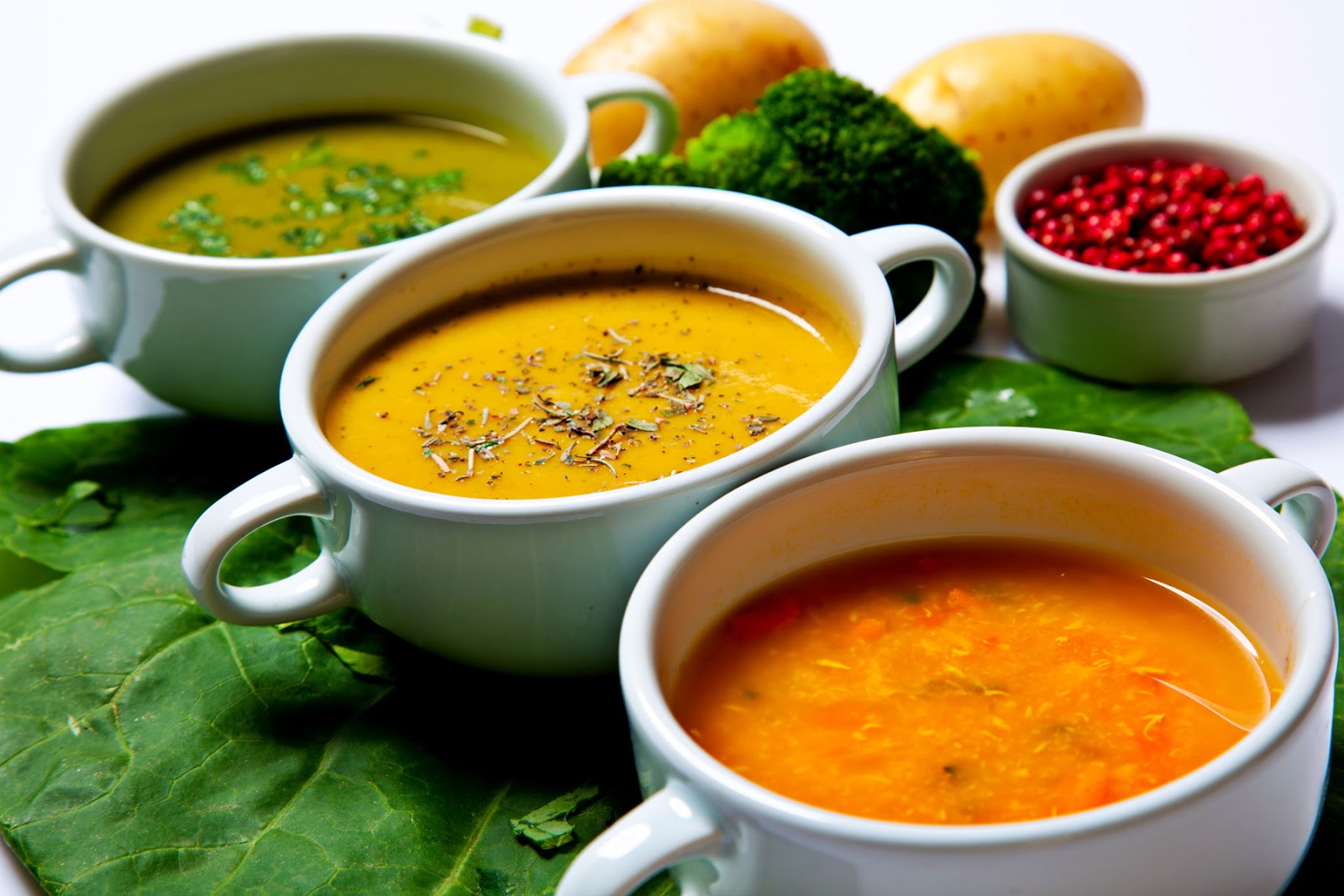 SALON EMPRENDEDOR salonemprendedor@yahoo.com: FABRICA DE SOPAS 100% ...