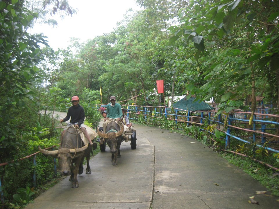 Smart Backpacker: Various Forms of Land Transportation for Tourists in ...