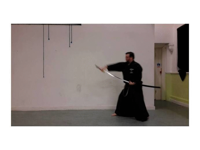 Kenjutsu Stances