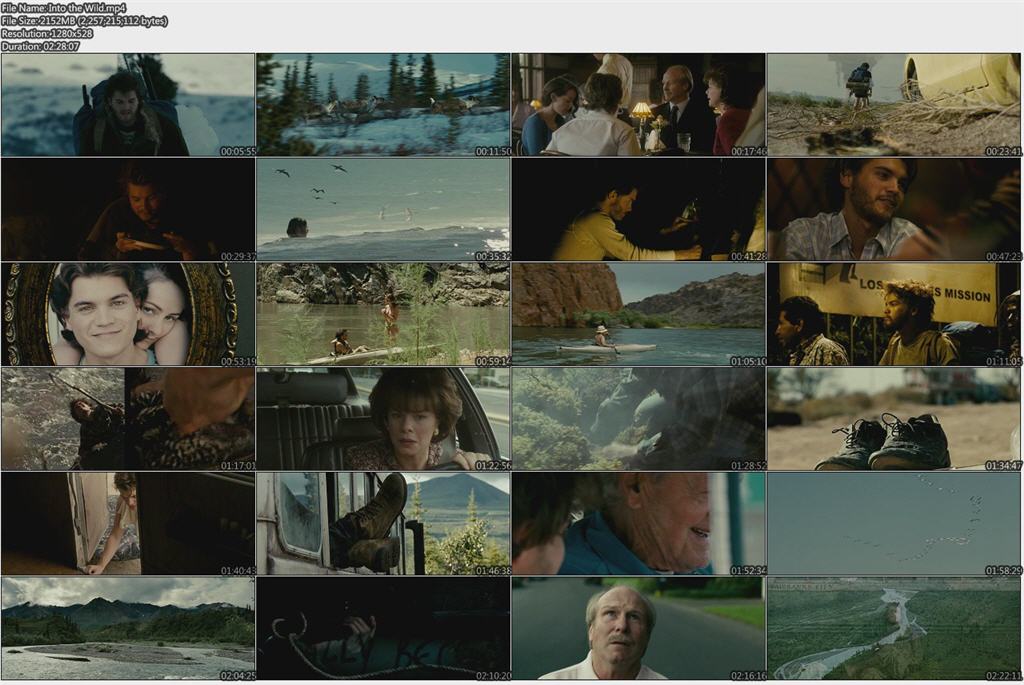 True Story: INTO THE WILD (Hacia Rutas Salvajes)