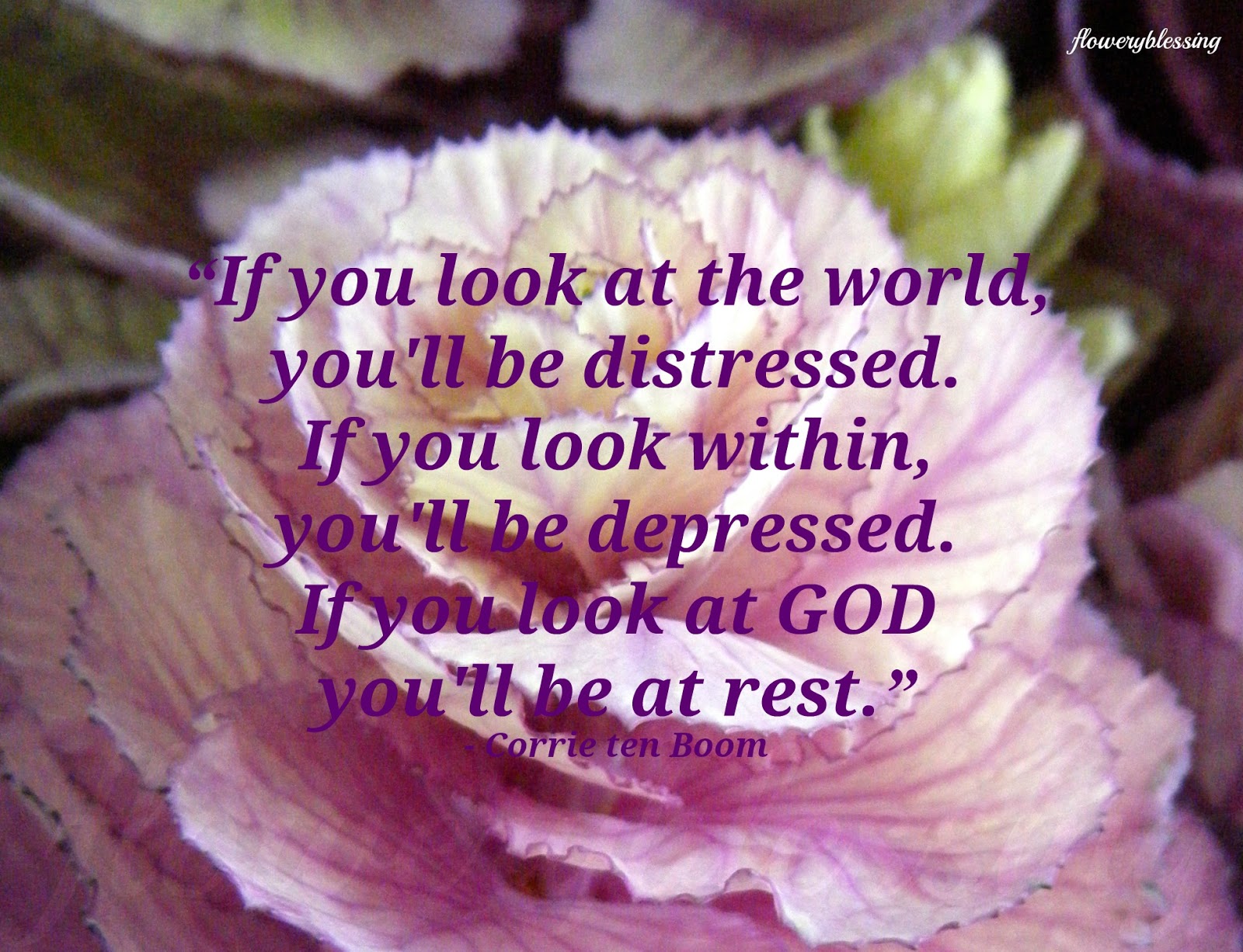 Flowery Blessing: “If you look at the world, you'll be distressed. If ...