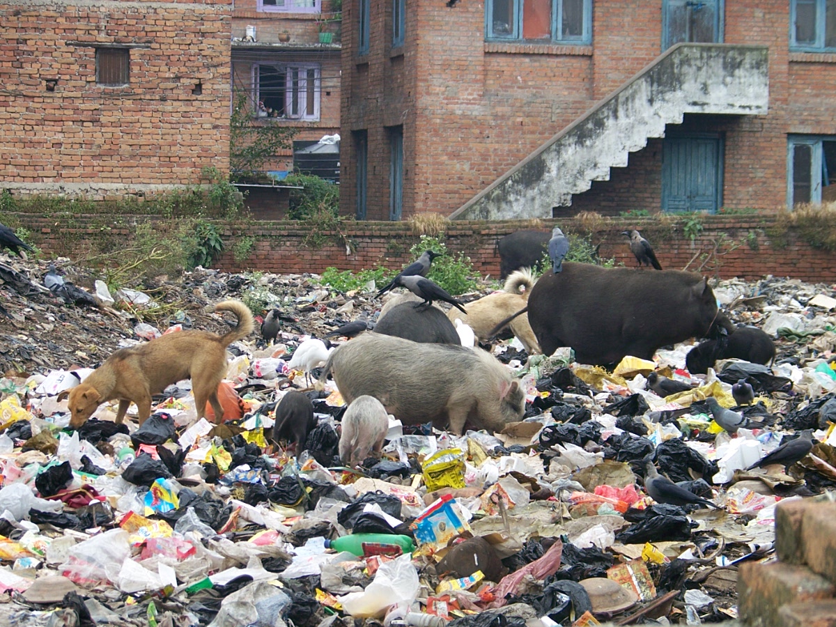 Let's GURPS: Skill: Quantifying Scrounging