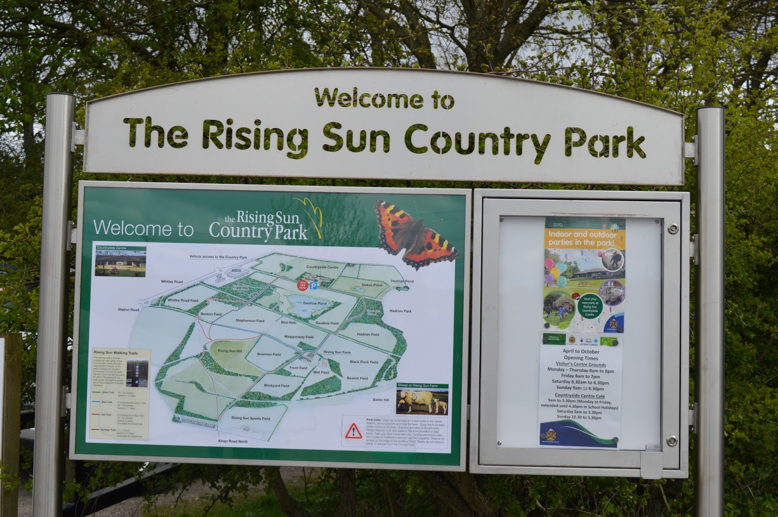 Rising Sun Country Park | A Pushchair & Dog-friendly Walk in North ...