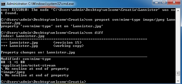Subversion: svn property