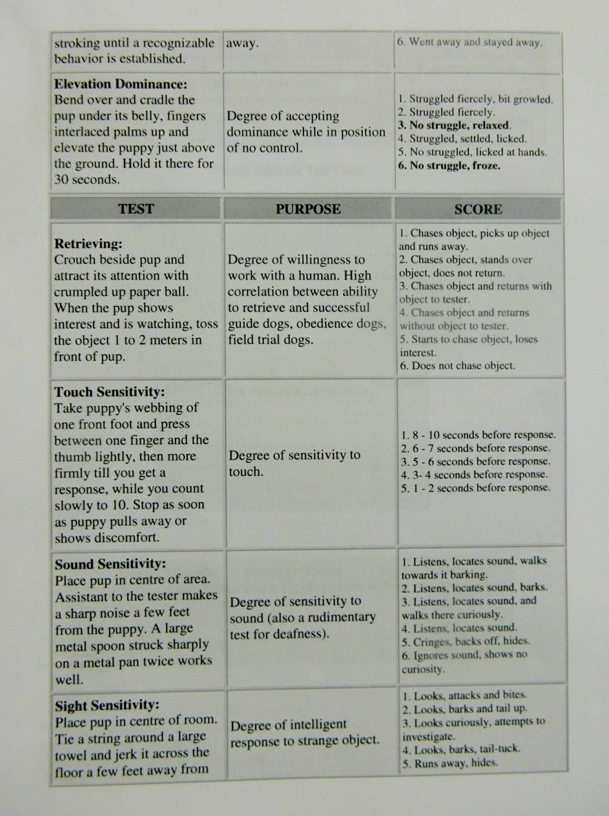 Nine Newfies: Day 47: Puppy Aptitude Test