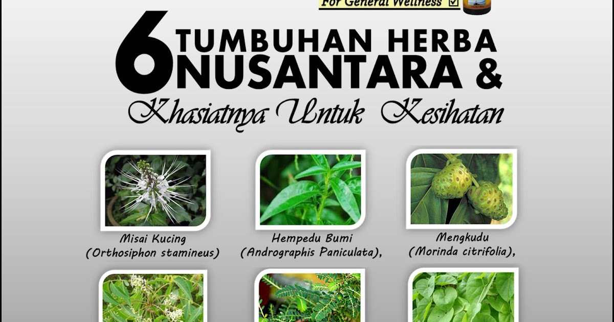 AzBudi Pusat Pakar Perubatan Homeopati dan Naturopati: HEALSDROP - 6 ...