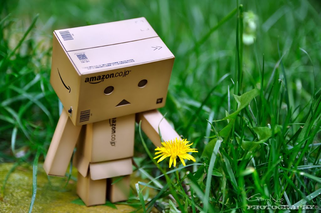 Danbo, Boneka Kardus Yang Memiliki Ekspresi Unik - Is My Blog