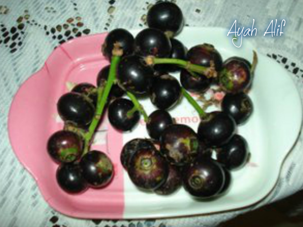 Ayah_Alif: Buah-buahan ASLI Indonesia Dan Manfaatnya