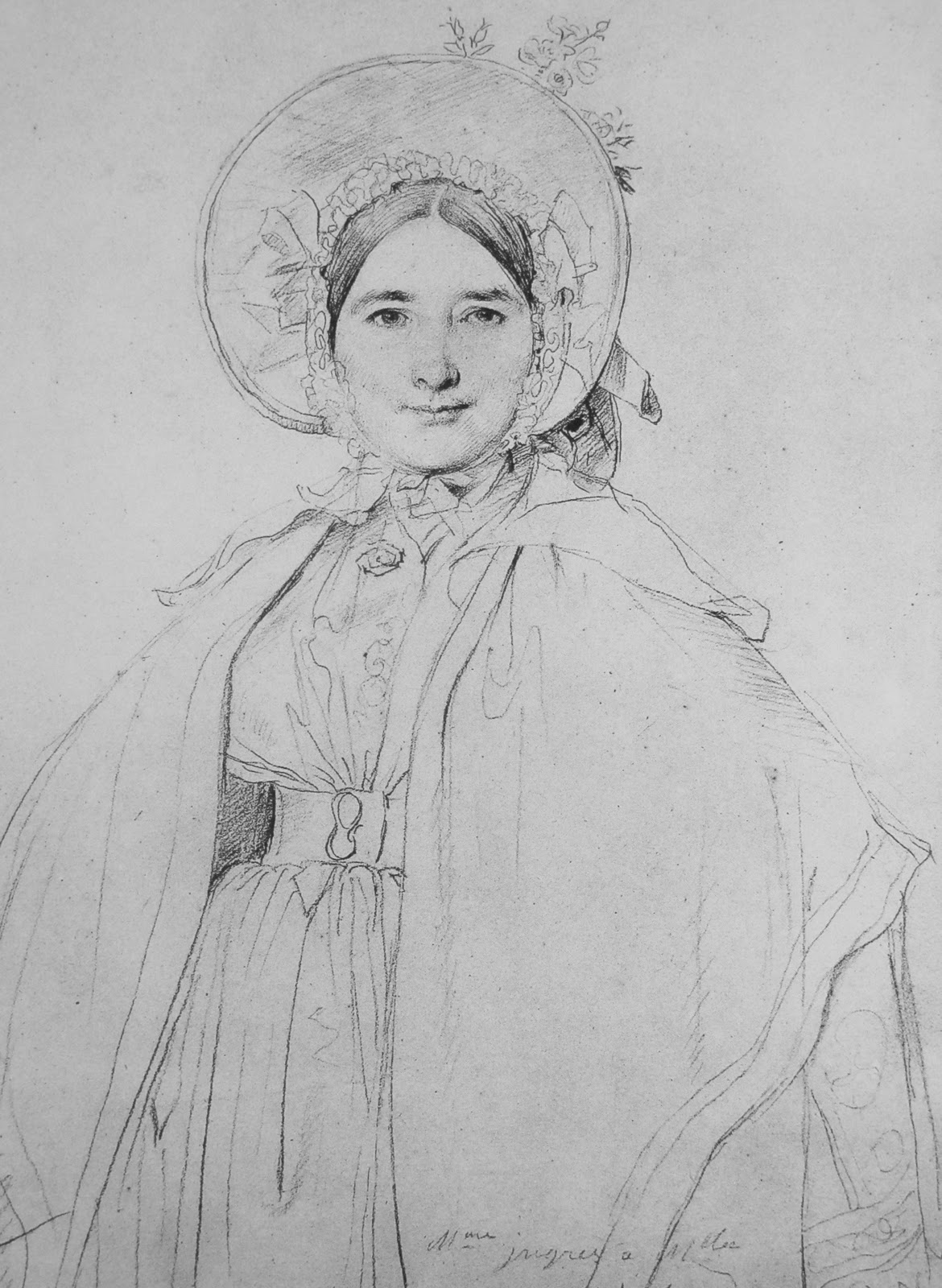 surface fragments: Ingres Portrait Drawings, and the 'Giraffe-neck ...
