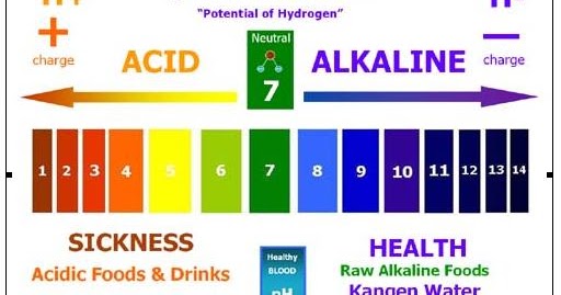 School Projects : Importance of pH in Our Daily Life