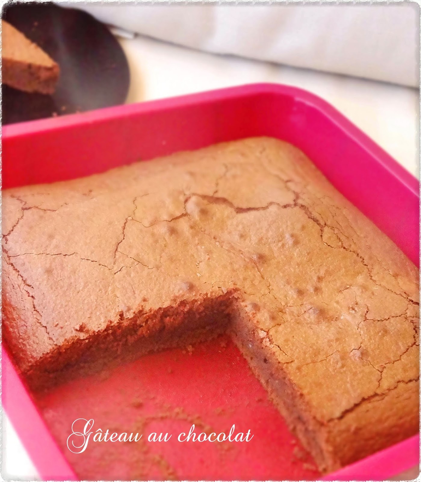 Gâteau au chocolat au Thermomix | ~~ Thermomix & cie....