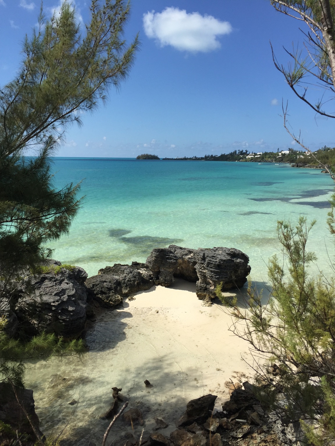 Stalking The Earth: Northern tip of the Bermuda triangle
