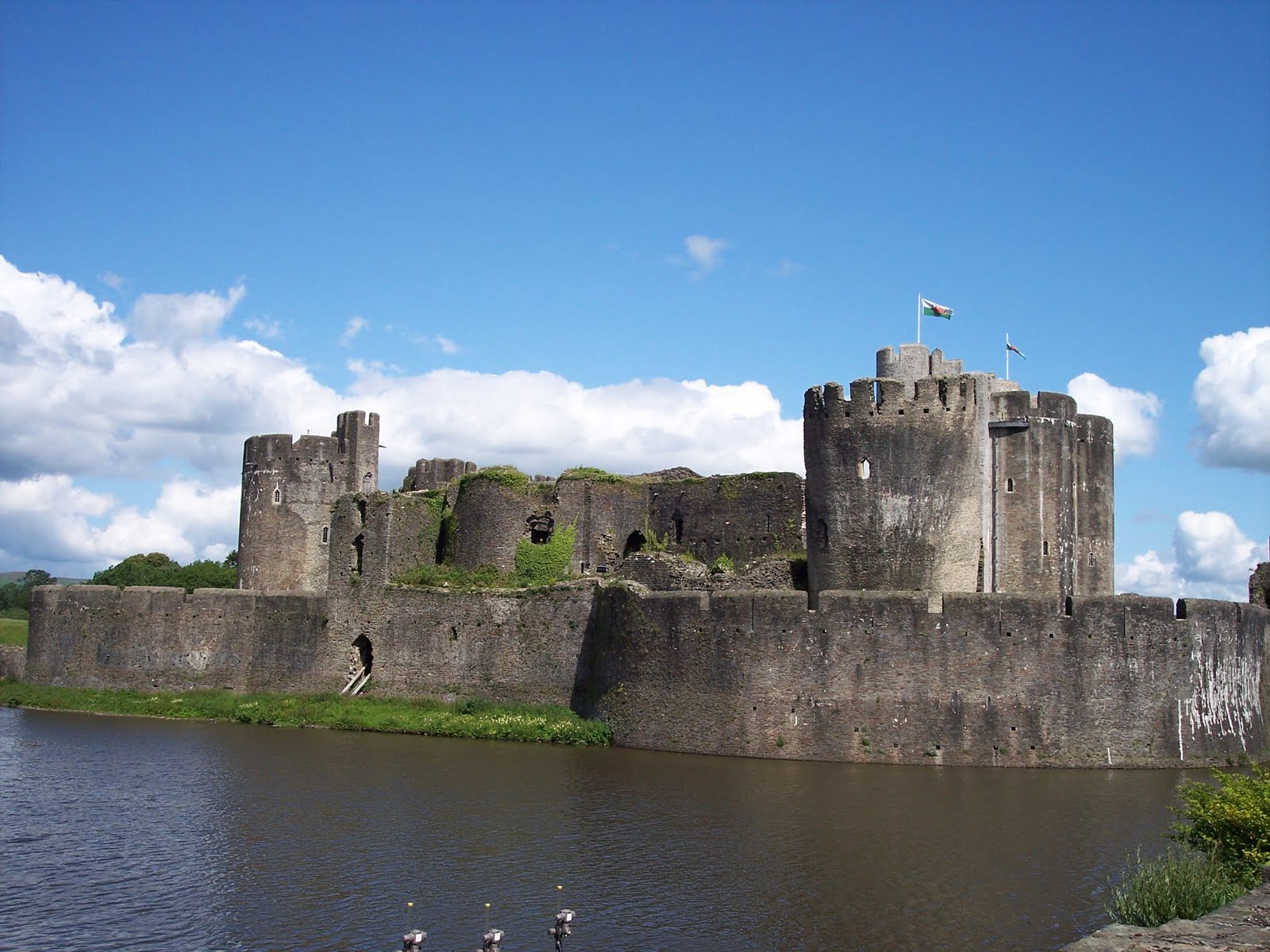 Read-warbler: Caerphilly Castle