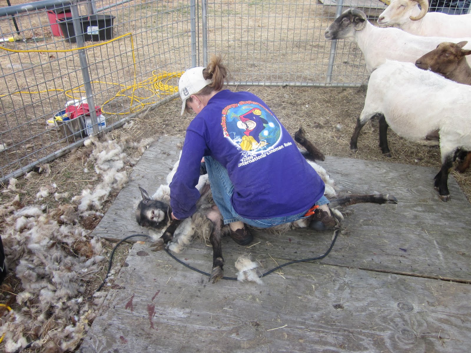 visualize industrial collapse