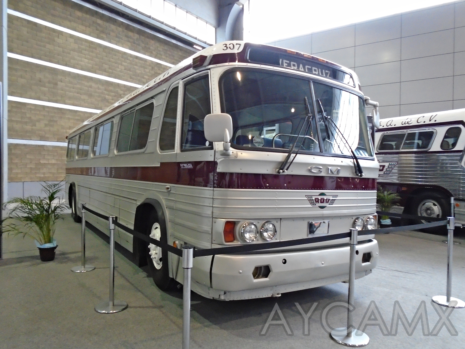 AYCAMX - Autobuses y Camiones México : Autobuses Foráneos 300. Especial ...