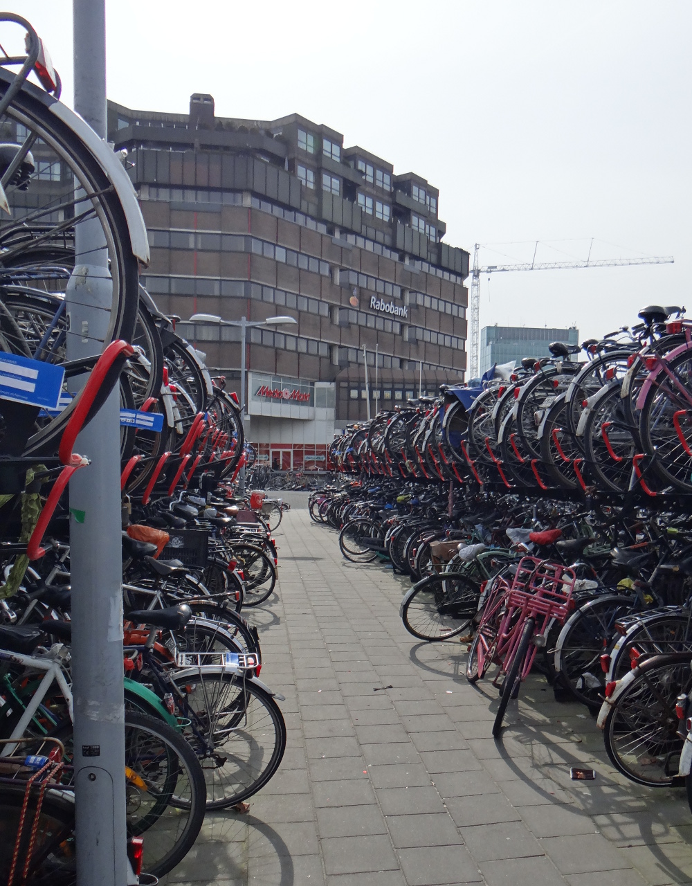 The Creativity Paradox: Postcards from the Netherlands