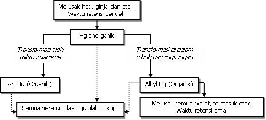 Mirfan Chemistry: Dampak Limbah Merkuri Terhadap Kesehatan