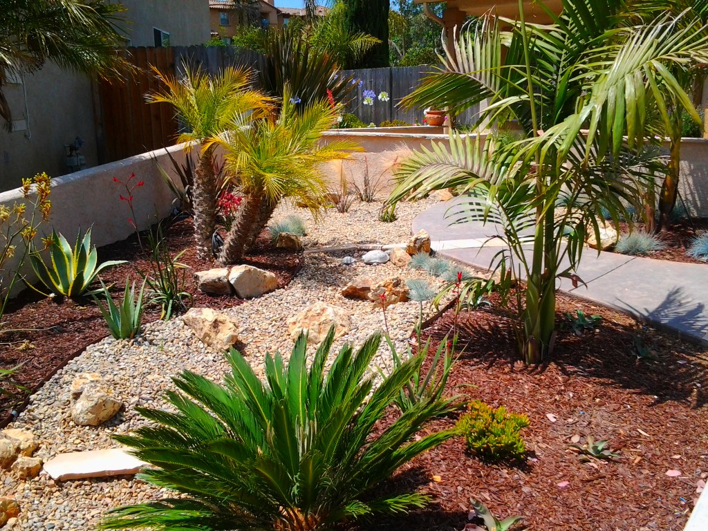 Drought Tolerant Landscaping (7 Best Reason To Upgrade)