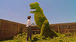 Eye For Design: Decorating With Topiary.....For Your Home And Gardens