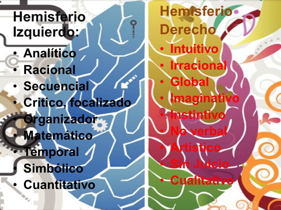Chismes y Tendencias: Porque Tenemos el Cerebro Partido en Dos?