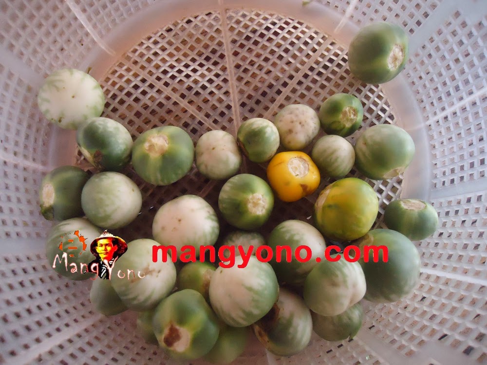 Cara membuat karedok terong peuheur atau terong kuning