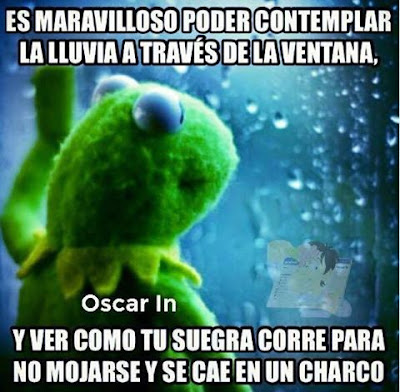 Memes de la rana rene