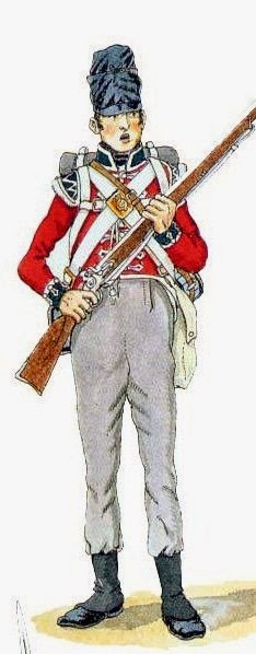 THE BRITISH ARE COMING!: 1st Foot Guards Regiment, 1815