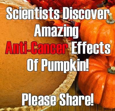 Scientists Discover Amazing Anti-Cancer Effects Of Pumpkin! ~ Mzizi Mkavu