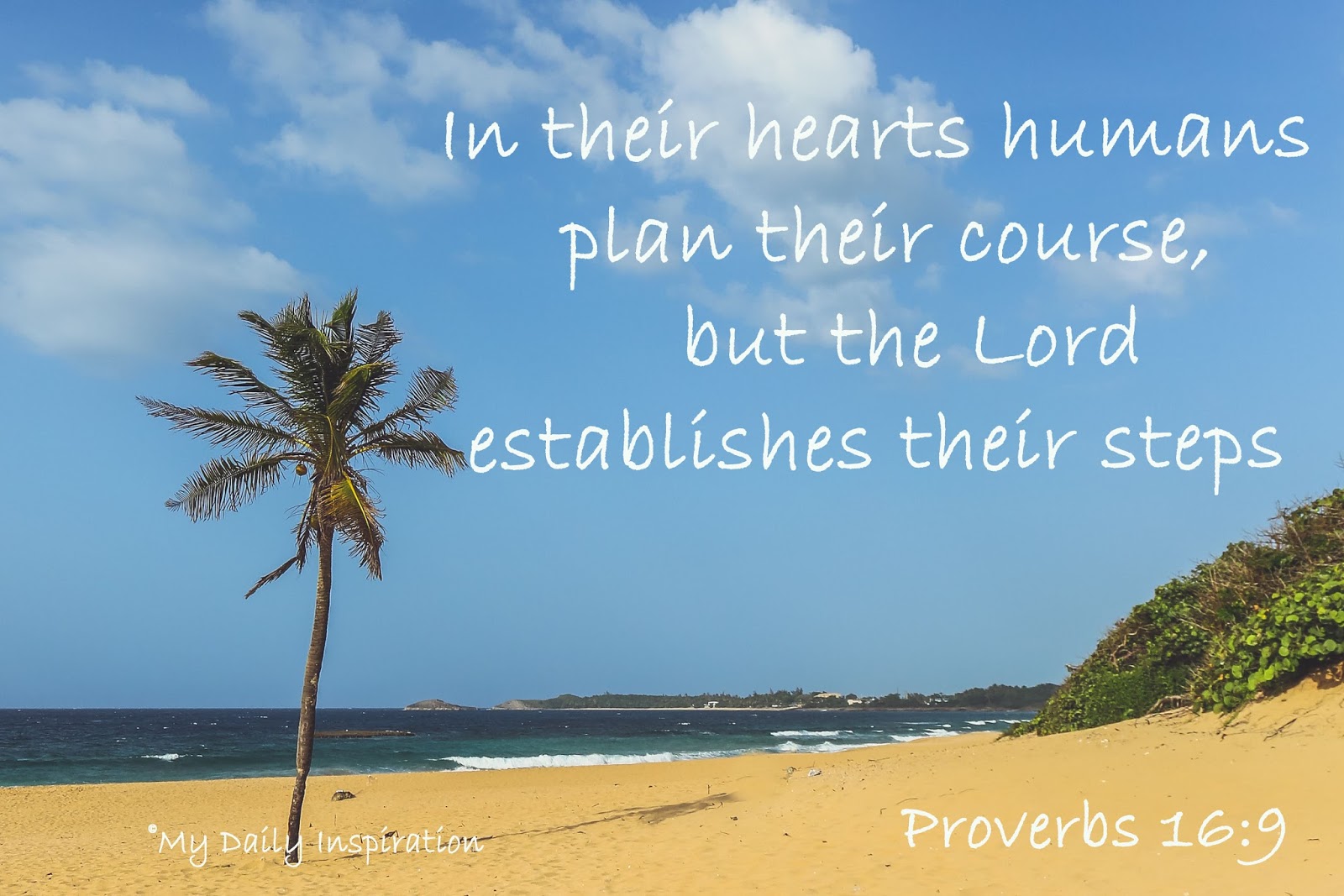 The Lord establishes their steps