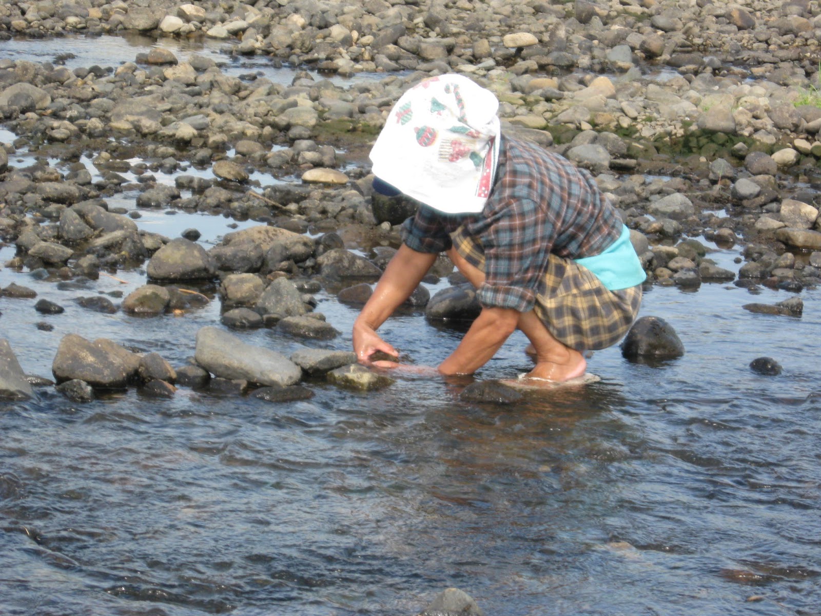Isinay Bird: Isinay Names of the Fish and Other Edibles We Used to ...
