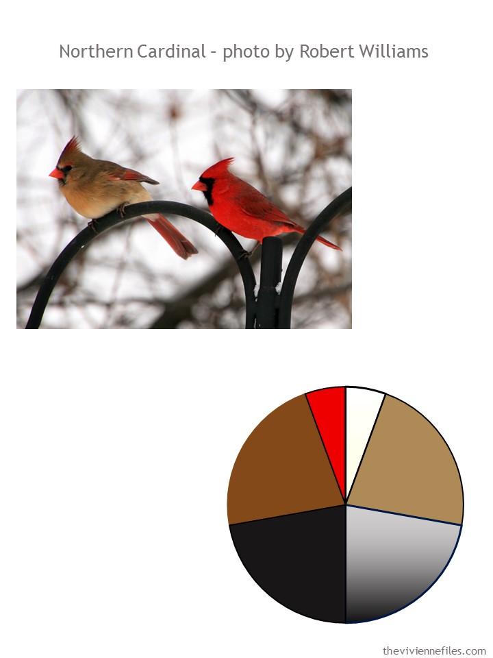 Start with Nature: Male and Female Cardinals, in Warm AND Cool Colors ...