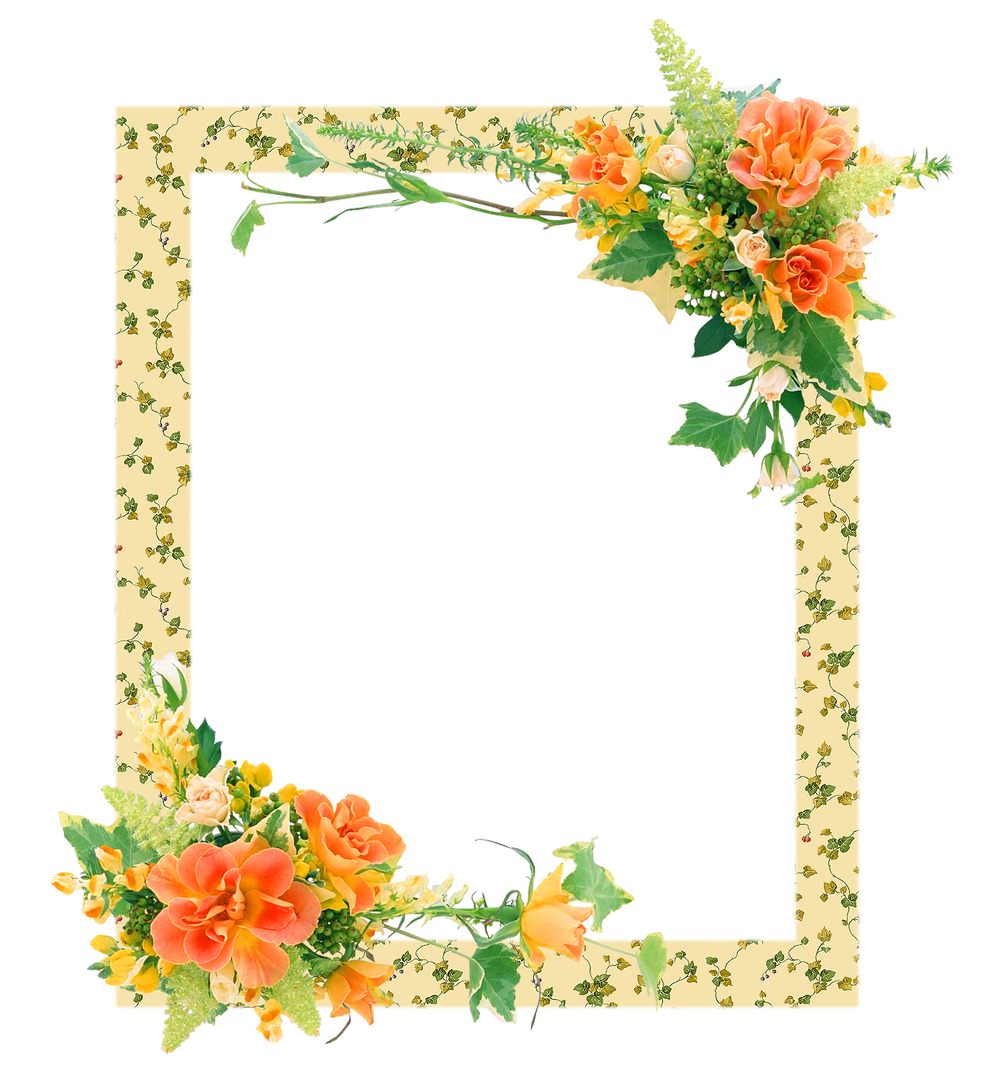 Hermosos marcos florales en png