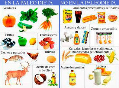 DIETA PALEOLITICA ~ ADELGAZAR BARRIGA Y PERDER PESO