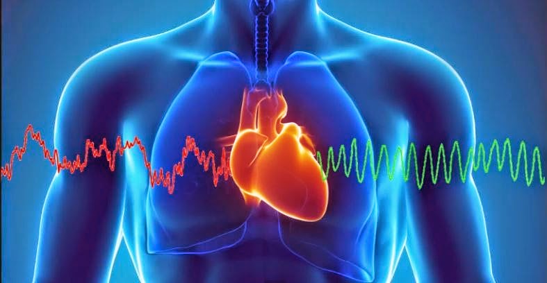 Secretos de salud cuerpo y mente: ¿LA MENTE Y EL CORAZÓN FABRICAN LAS ...
