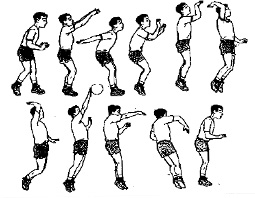 Desilus up: Pengetahuan Dasar Bola Voli Untuk Anak Sekolah Dasar