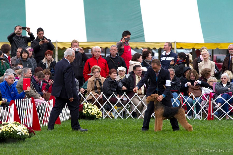 DOG SHOW POOP: TUNBRIDGE VT, DAY ONE