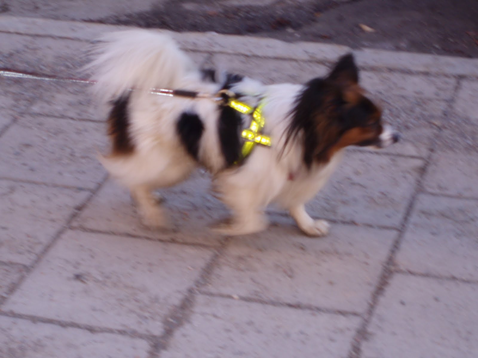 Meretuul: Väike pildigalerii Rootsi-reisist