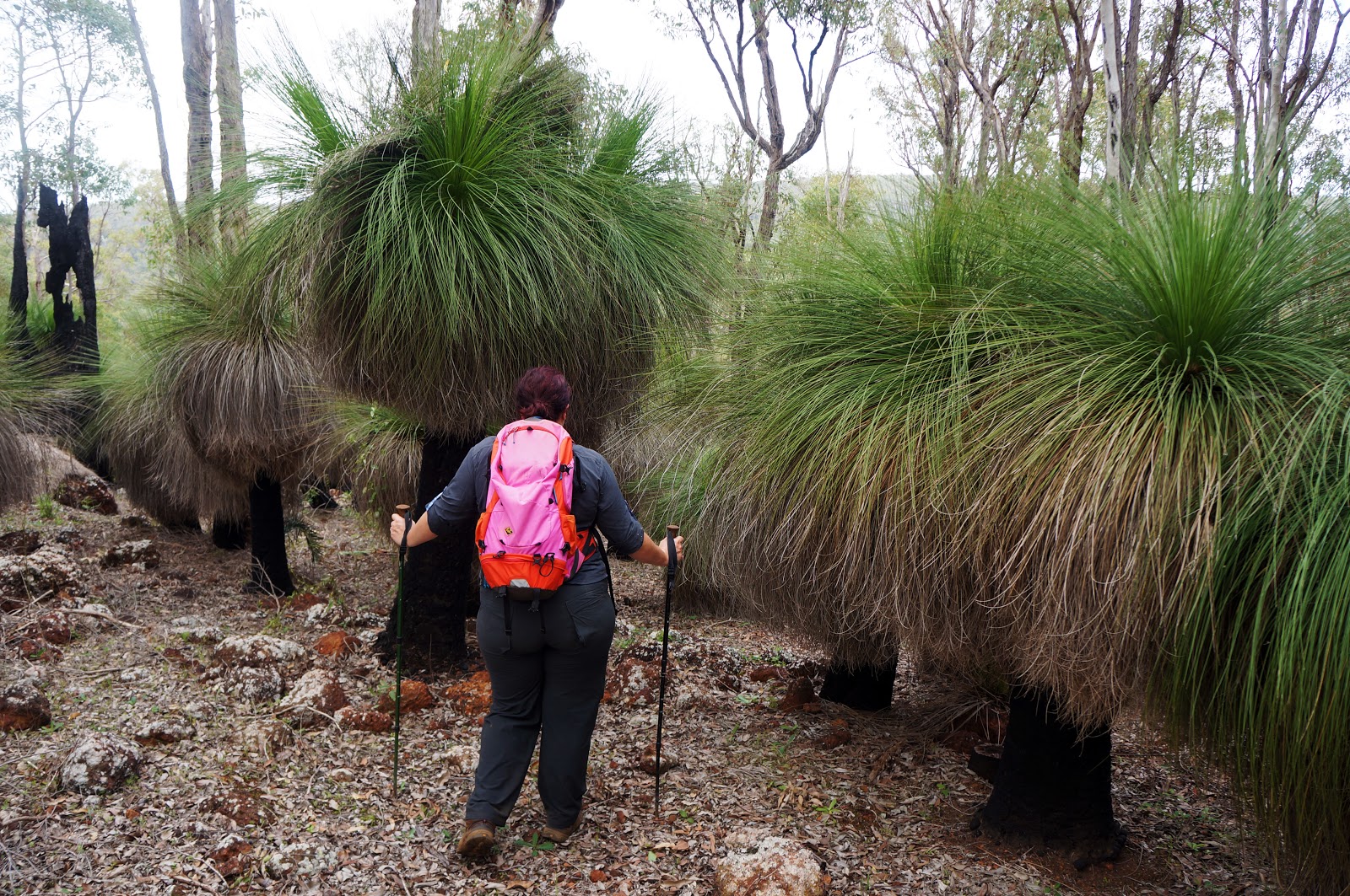 Wungong Gorge Walk GPS Route (Wungong Regional Park) ~ The Long Way's ...