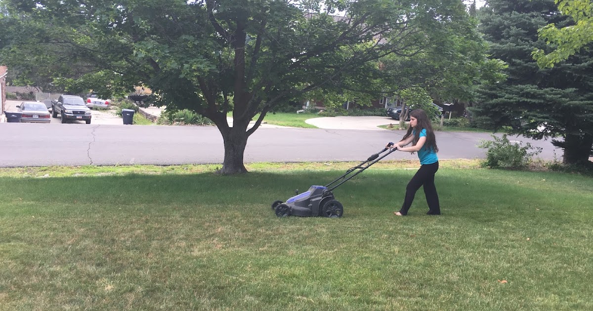 Smithsonians: Georgia Bound