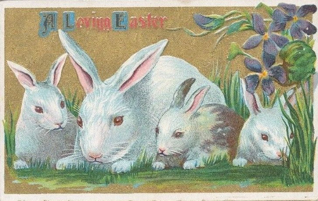 A Collection of 30 Cute Bunny Rabbit Vintage Easter Postcards ~ Vintage ...