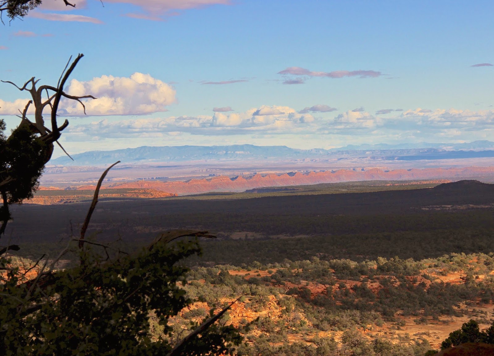 In the Company of Plants and Rocks: Geo-challenge: ______ ______ from