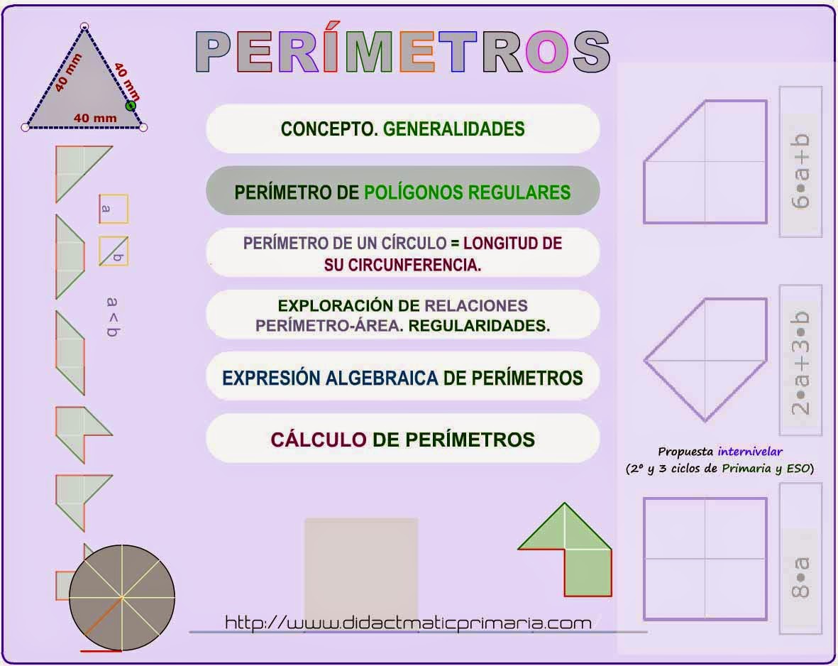 PERÍMETROS: Modelos dinámicos interactivos para visualizar el concepto ...