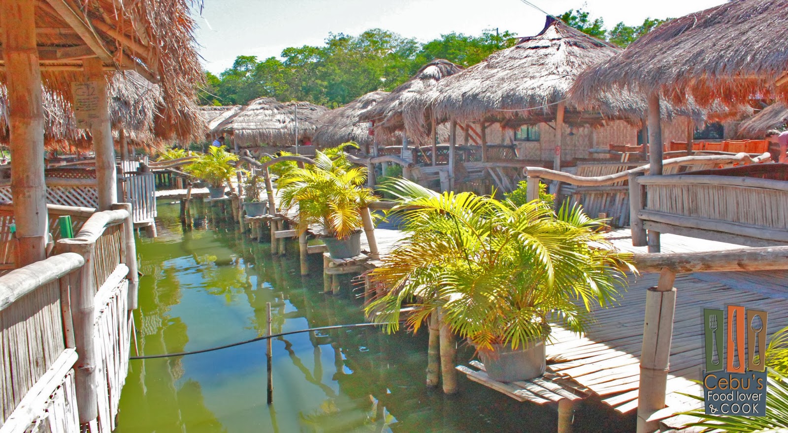 Cebu's Food Lover and Cook: CO JORDAN TALABA / BANGUS FARM ...