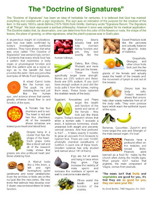 Recipes and Tips To Fight M.S.: The Doctrine of Signatures