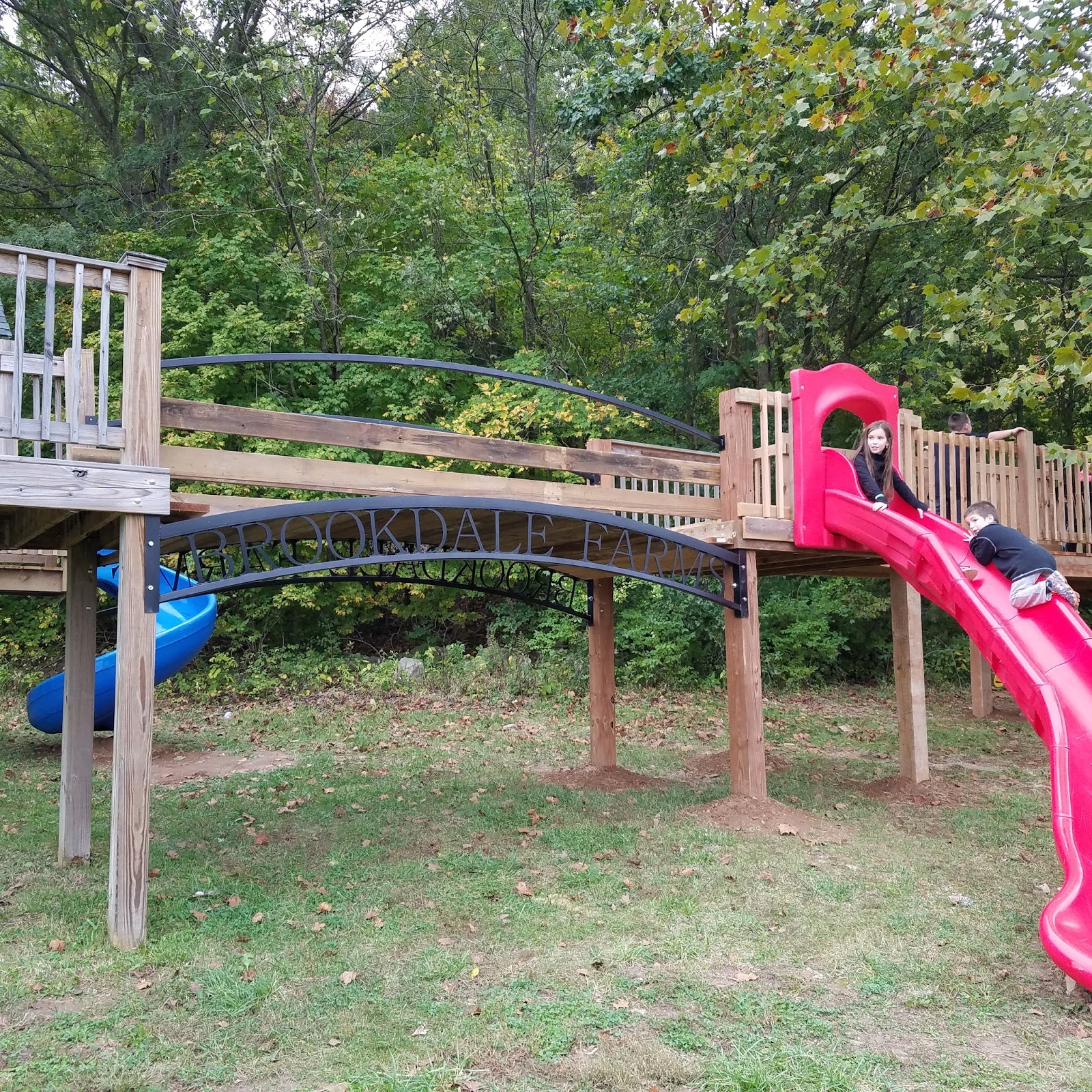 Play St. Louis: West County